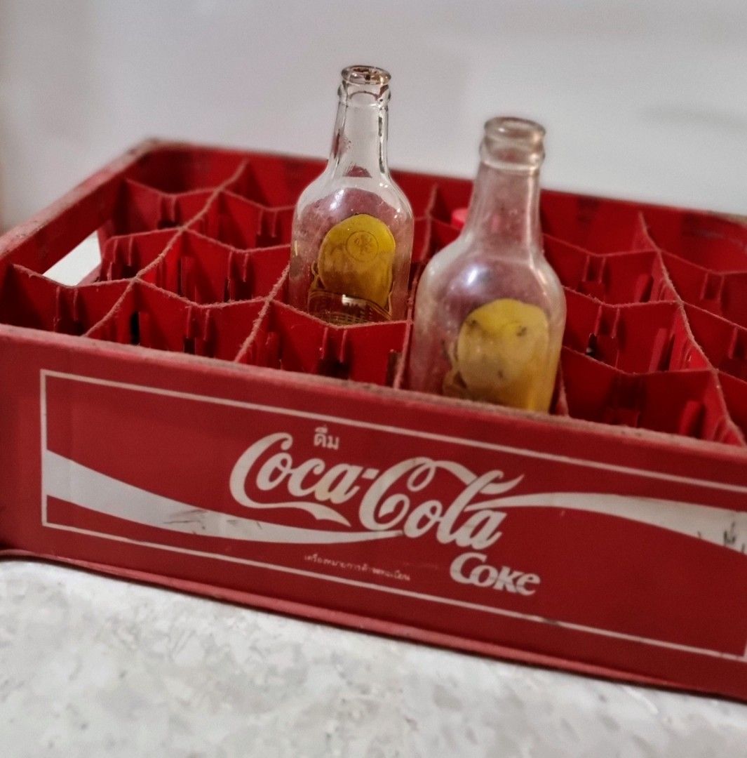 Vintage Coca Cole plastic crate, Hobbies & Toys, Memorabilia ...