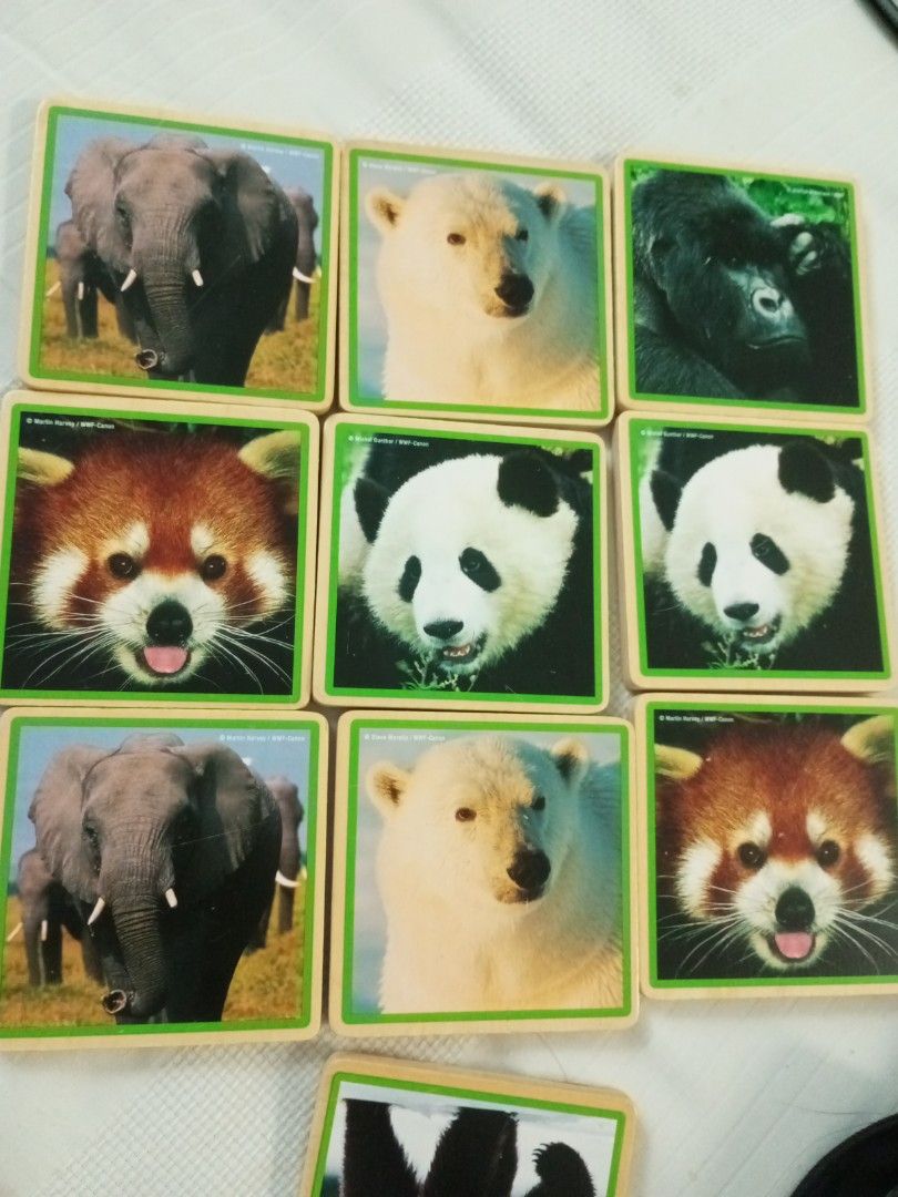 WWF animals memory match (wooden tiles), Hobbies & Toys, Toys & Games ...