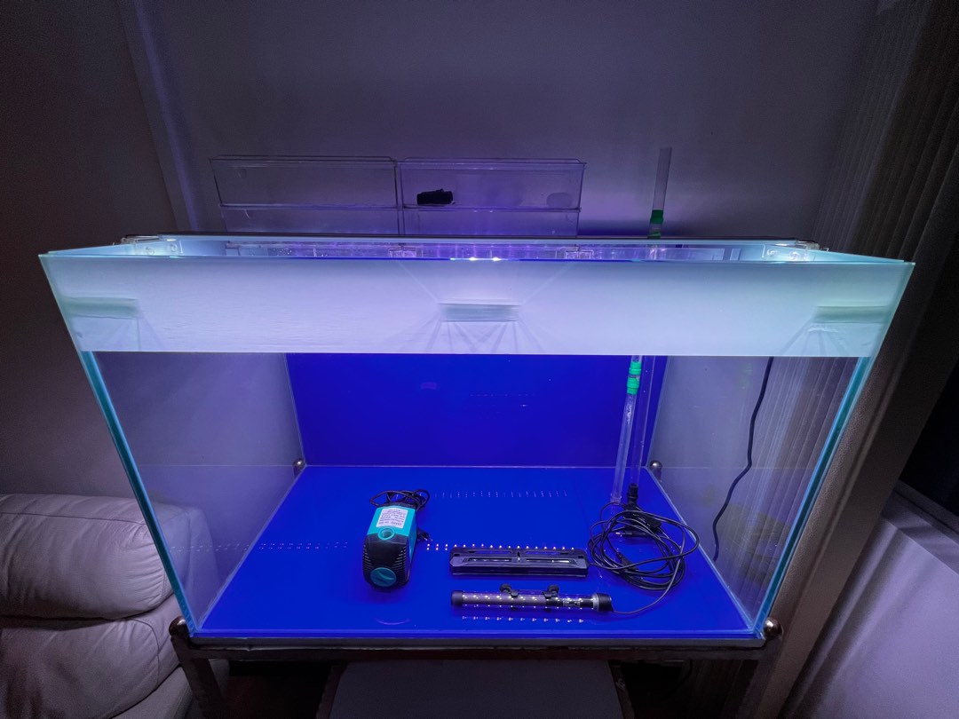 (Reserved) 3ft tank + 2 tier stand, Pet Supplies, Homes & Other Pet ...