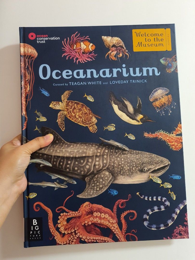 Educational Children's Book Oceanarium, Hobbies & Toys, Books & Magazines, Children's Books on ...