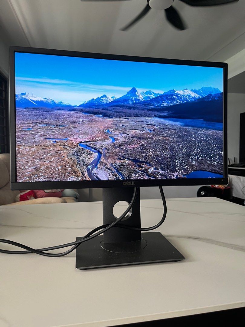 DELL P2217H 22" inch FHD IPS Monitor Height Swivel Rotate Landscape ...