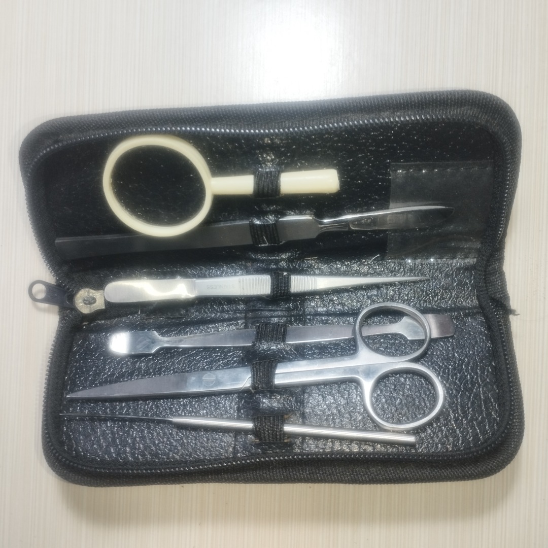 DISSECTING KIT, Hobbies & Toys, Stationary & Craft, Stationery & School Supplies on Carousell