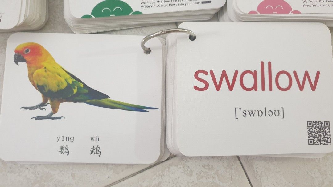 Educational Cards (Chinese & English), Hobbies & Toys, Books ...
