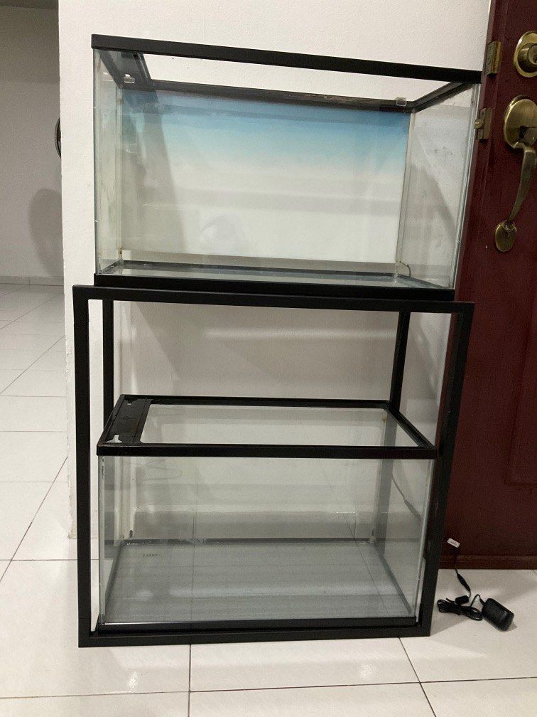 Gex Marina 60cm tanks & stand, Pet Supplies, Homes & Other Pet Accessories on Carousell