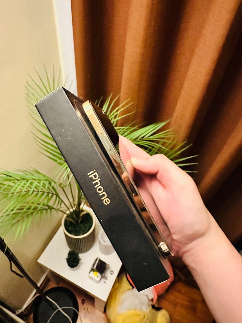 Open-line iPhone 12 Pro Max, Gold 256 GB on Carousell