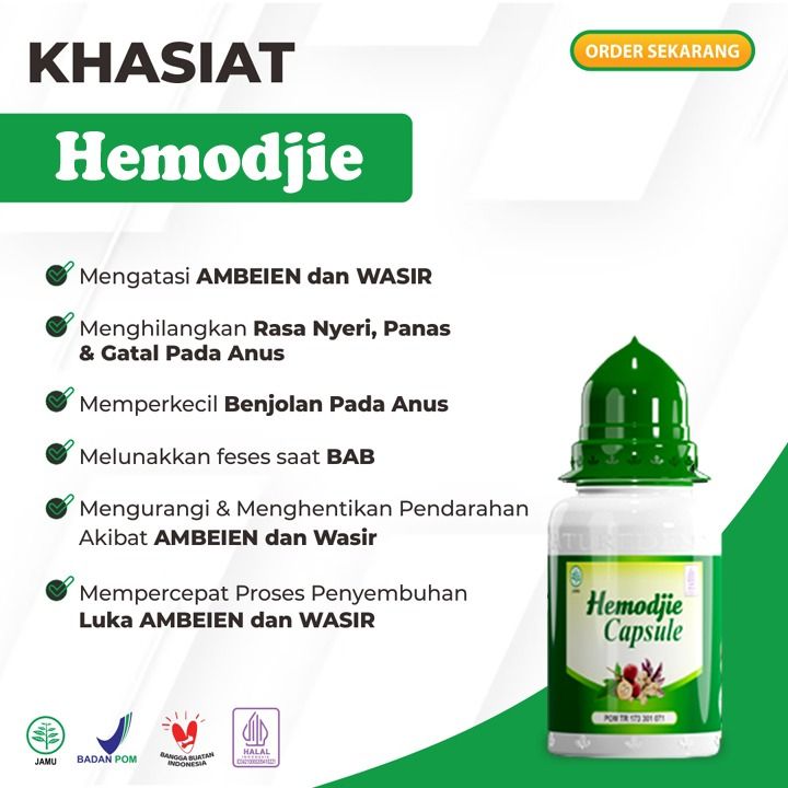 Obat Pelancar Bab Keras-Sulit Bab-Sembelit Alami Daun Ungu Temu Mangga ...