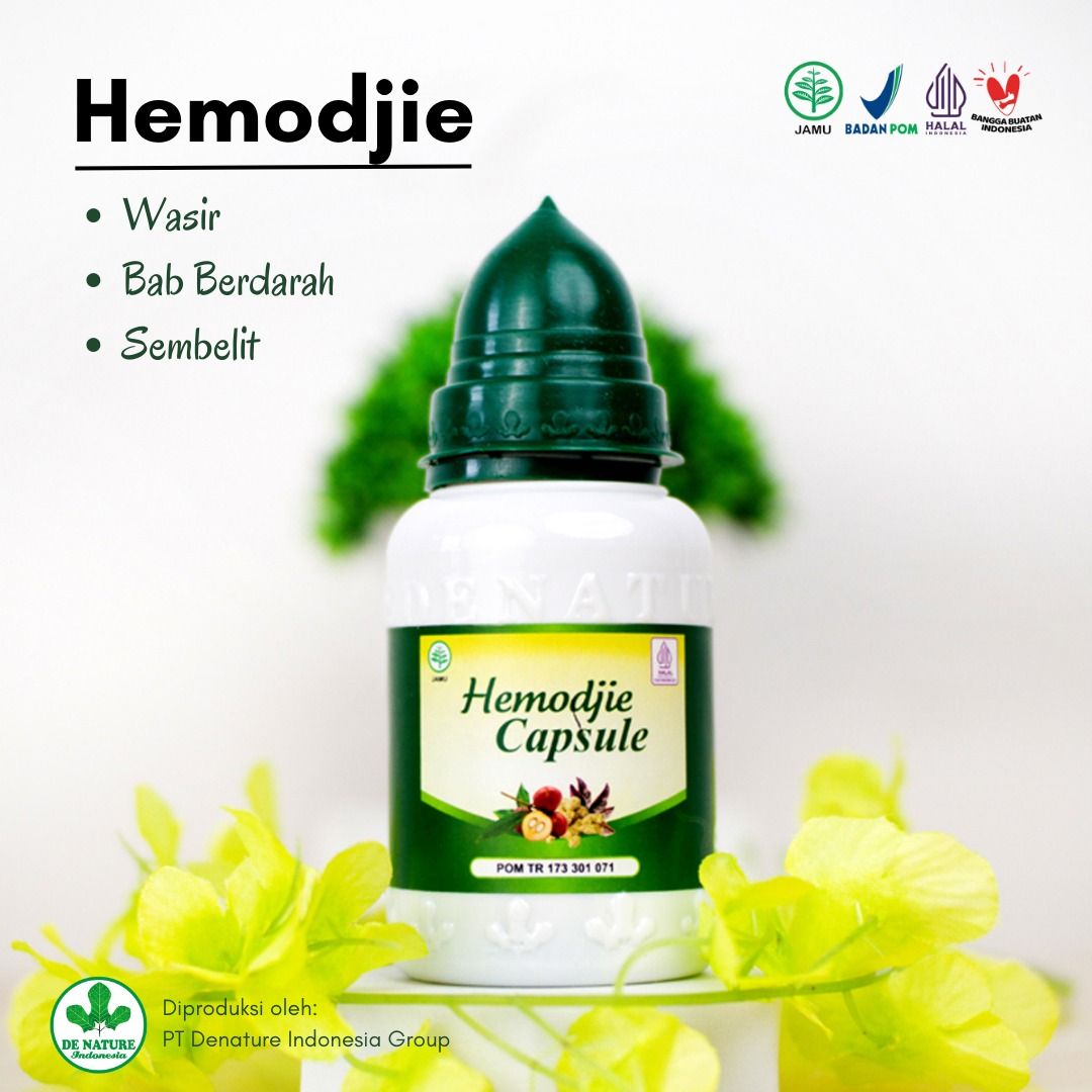 Obat Pelancar Bab Keras-Sulit Bab-Sembelit Alami Daun Ungu Temu Mangga ...