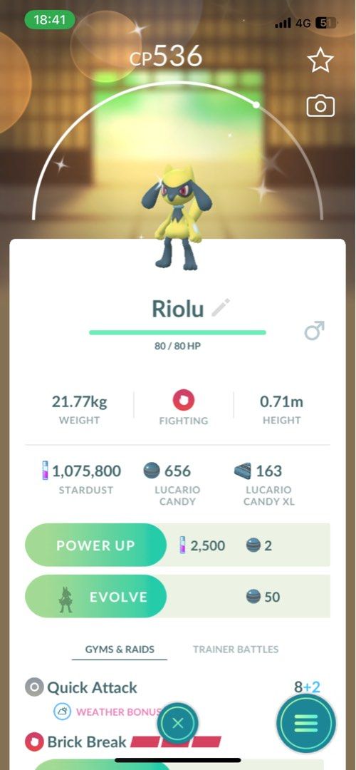 Shiny Riolu , Video Gaming, Gaming Accessories, In-Game Products on ...