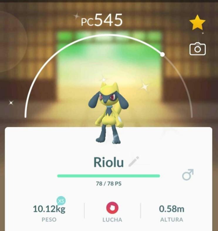 SHINY RIOLU Pokemon Go, Video Gaming, Video Games, Others on Carousell
