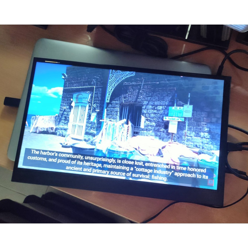 15.6" Flat Panel Monitor (wall mountable, portable), Computers & Tech ...