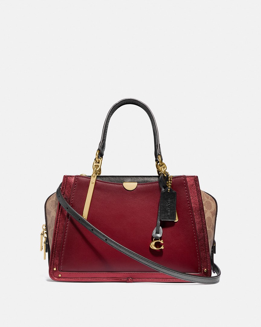 Coach Dreamer 27 Colorblock with Signature and Snakeskin details on ...