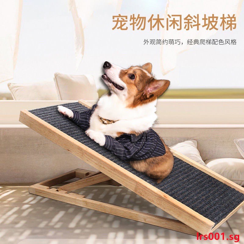 Dog’s Slopes for climbing, Pet Supplies, Homes & Other Pet Accessories ...