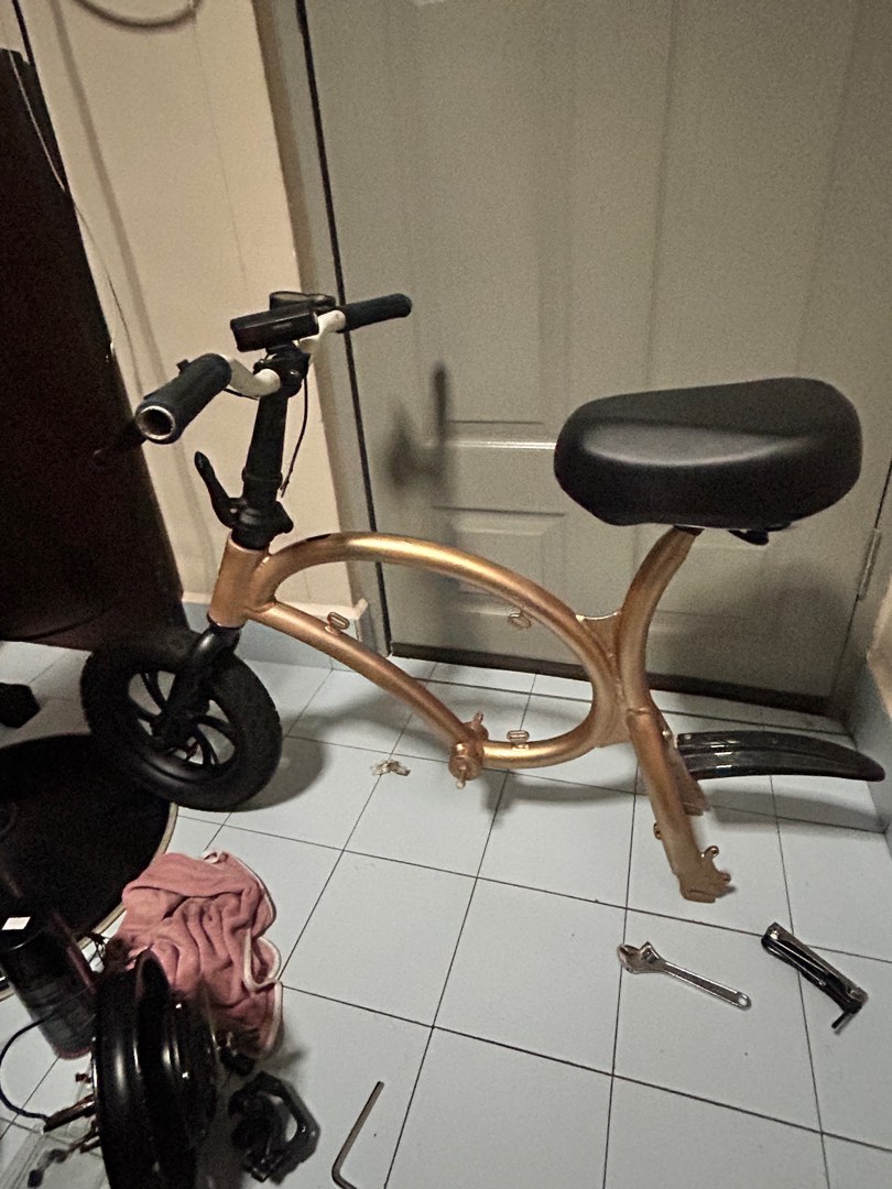 Dyu frame, Sports Equipment, PMDs, E-Scooters & E-Bikes, Other PMDs ...