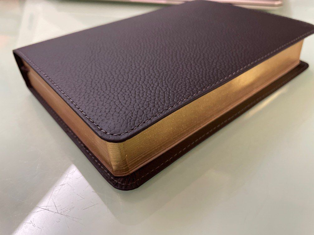 ESV Large Print Compact Bible, Buffalo Leather, Deep Brown, Hobbies ...