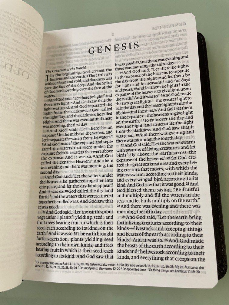 ESV Large Print Compact Bible, Buffalo Leather, Deep Brown, Hobbies ...