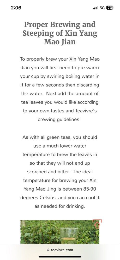 Famous xin yang mao jian tea in gift set, Furniture & Home Living, Kitchenware & Tableware ...