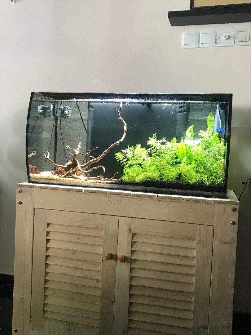 Fluval 123l fish tank, Pet Supplies, Homes & Other Pet Accessories on ...
