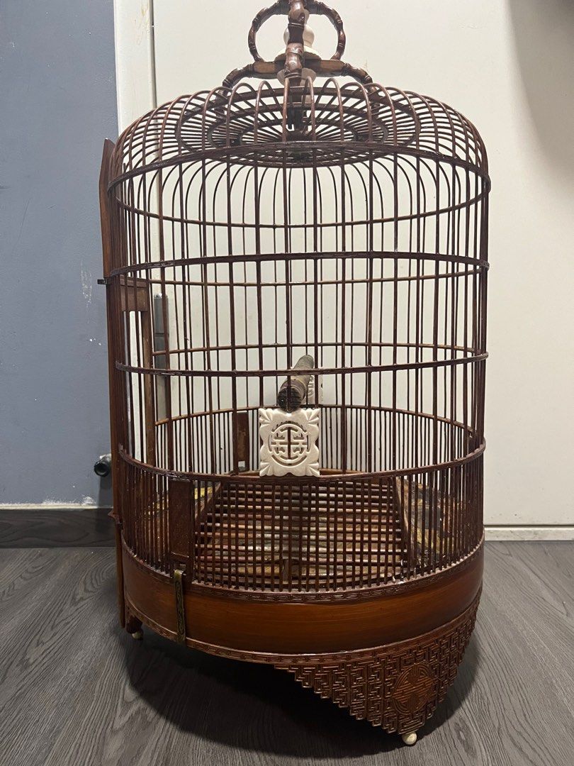 Hui bee Banzi cage, Pet Supplies, Homes & Other Pet Accessories on ...