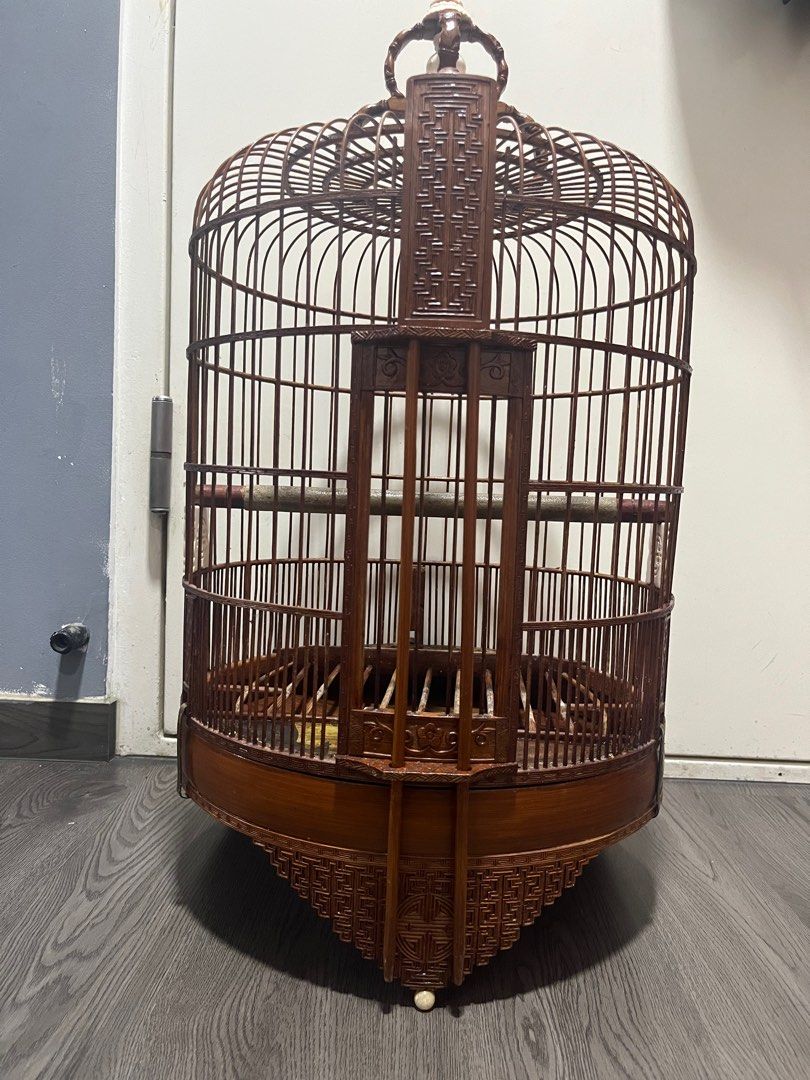 Hui bee Banzi cage, Pet Supplies, Homes & Other Pet Accessories on ...