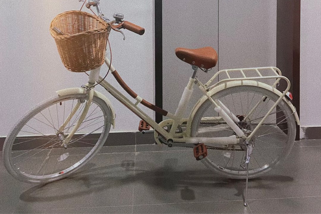 lady bicycle, Sports Equipment, Bicycles & Parts, Bicycles on Carousell