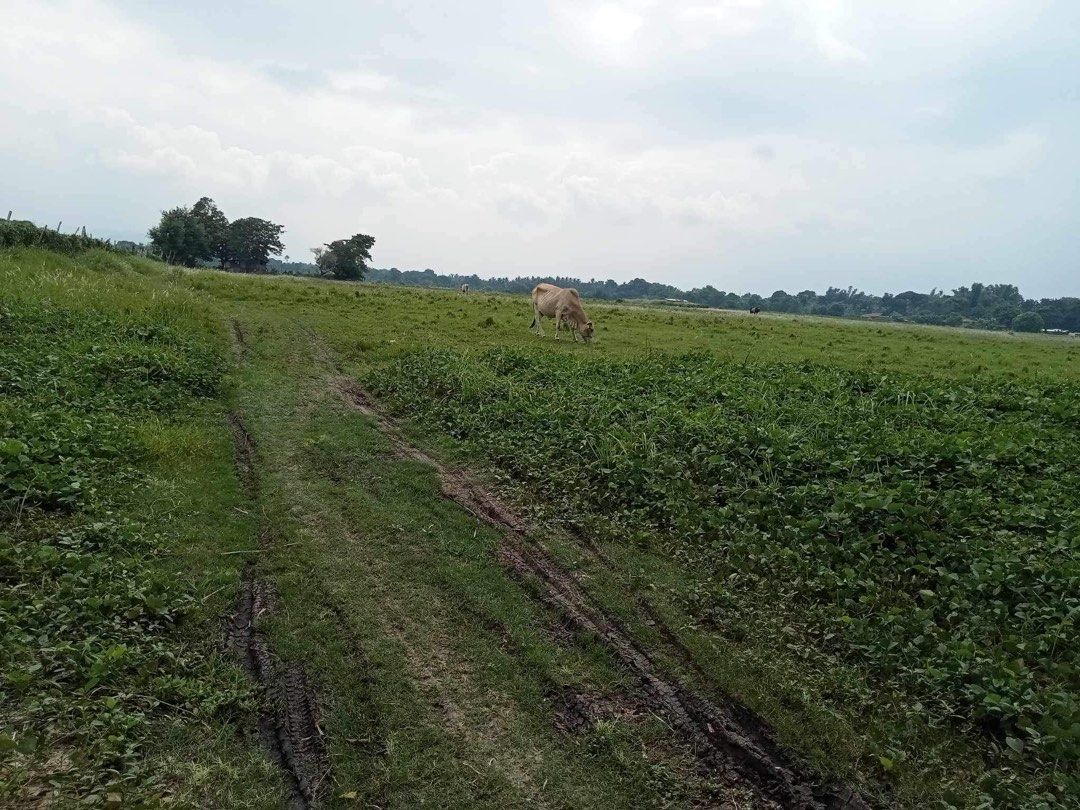 LOT FOR SALE NEAR FOREVER TAN-AG PUBLIC BEACH | San Juan, Batangas on ...