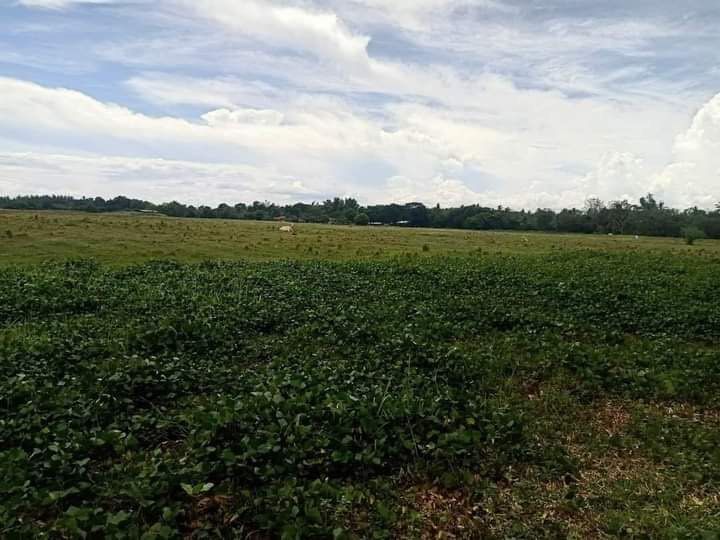 LOT FOR SALE NEAR FOREVER TAN-AG PUBLIC BEACH | San Juan, Batangas on ...