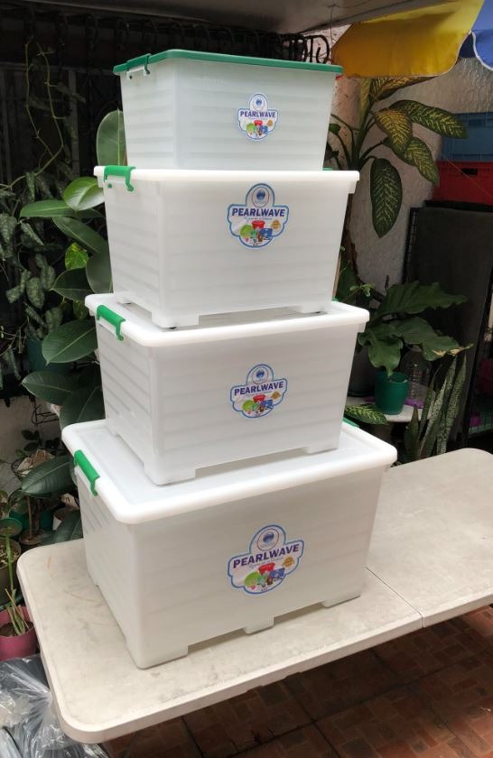 PEARL WAVE TRANSLUCENT STORAGE BOXES on Carousell