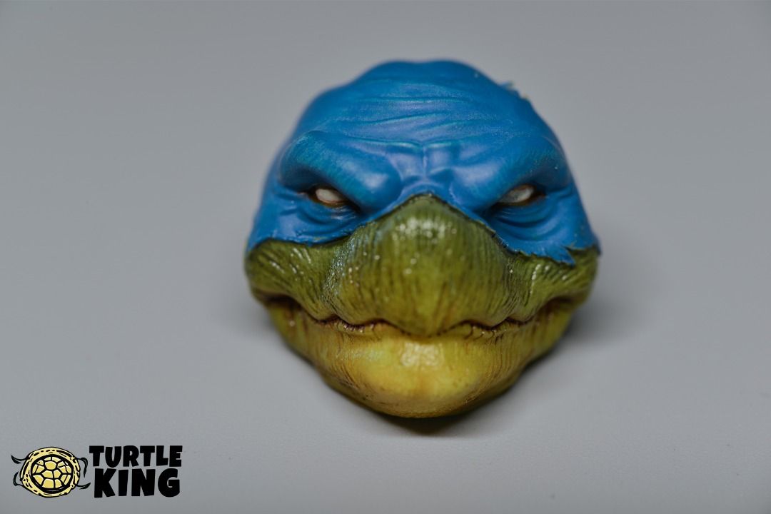 [Pre-Order] Turtle King Rogue Knight 7-inch Action Figure, Hobbies ...