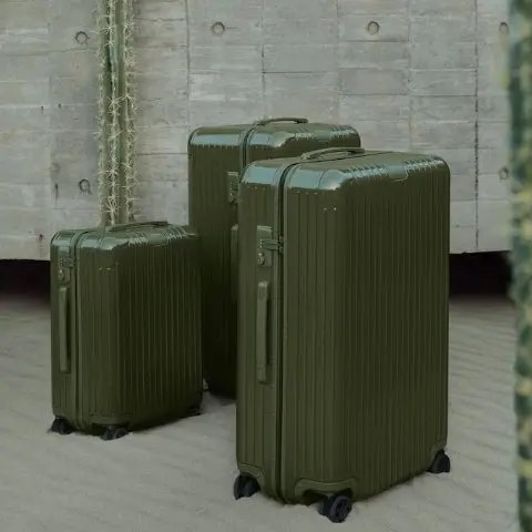 Rimowa Essential 行李箱 Cactus Green, 興趣及遊戲, 旅行, 旅遊 - 行李箱 - Carousell