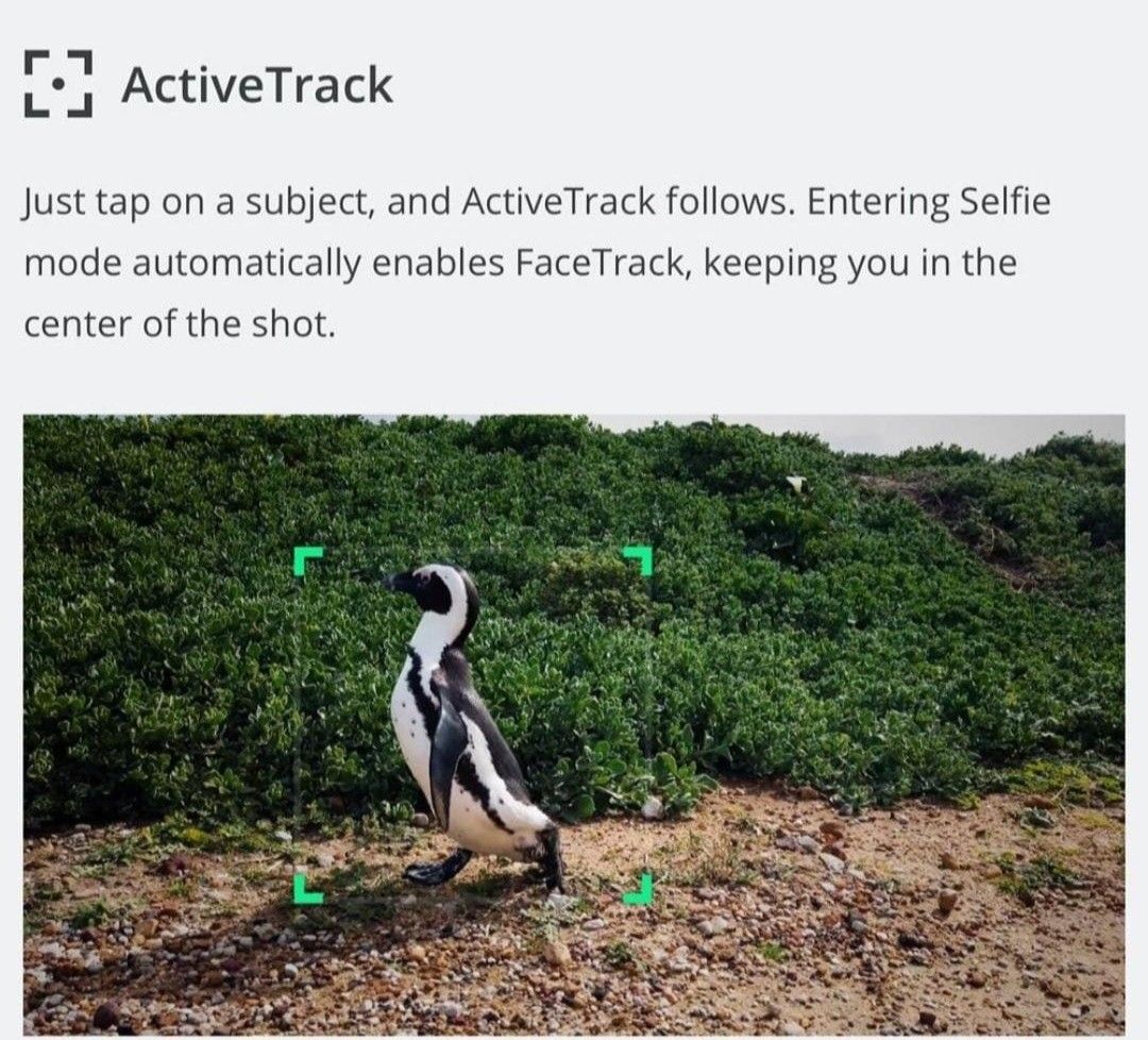 Smallest handheld camera, Photography, Video Cameras on Carousell