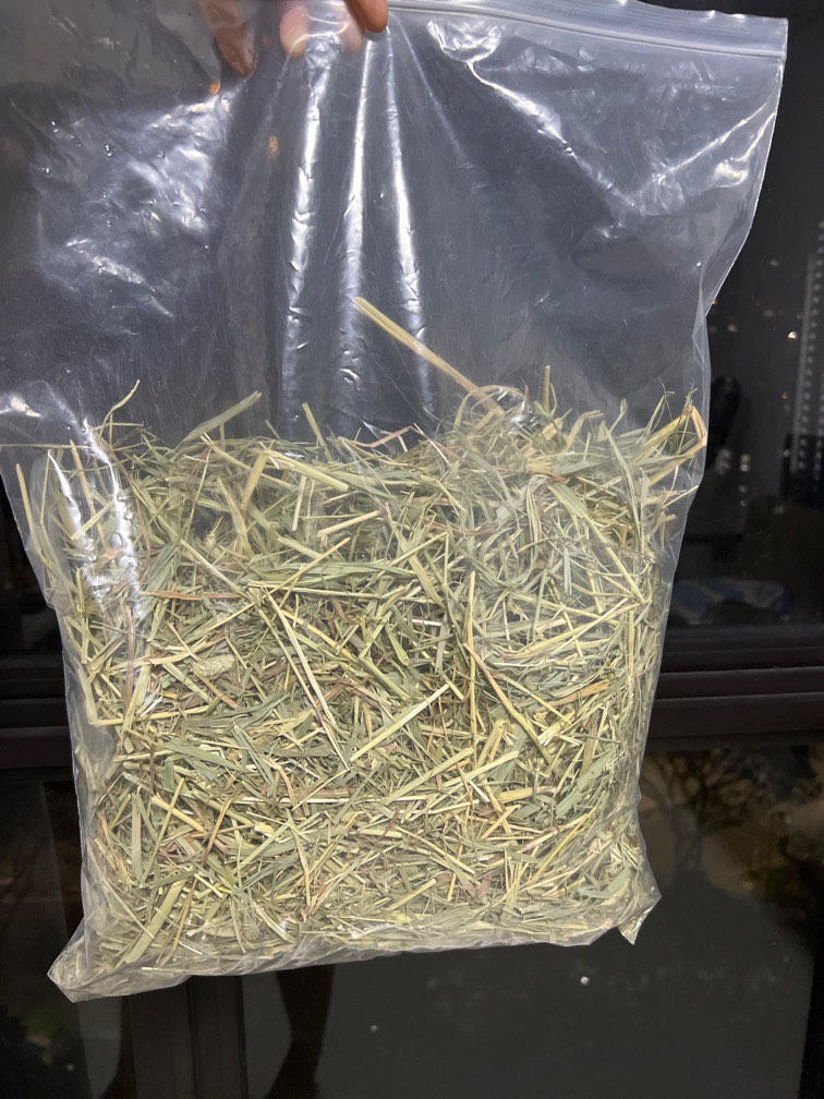 timothy hay half a bag, Pet Supplies, Pet Food on Carousell