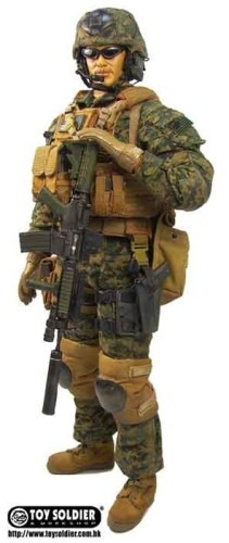 TOY SOLDIER & WORKSHOP 1/6 Scale USMC Recon CQB (Woodland Marpat) Box ...