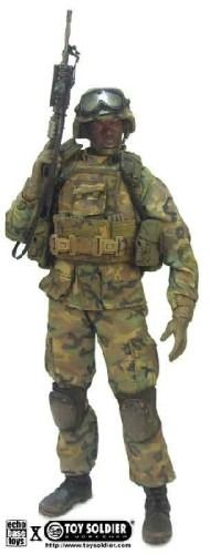 TOY SOLDIER & WORKSHOP 1/6 Scale 75 Ranger Rgt (MSG Howard "Mad Max ...