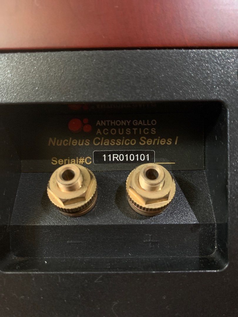 Anthony Gallo Classico 1, Audio, Soundbars, Speakers & Amplifiers on ...
