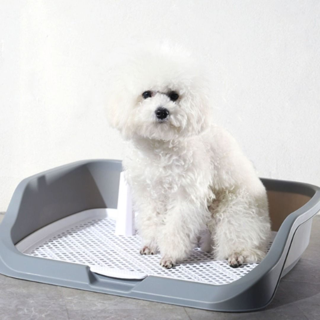 Dog Pee Tray Dog Toilet Pee Tray Double Layer Large And Small High ...