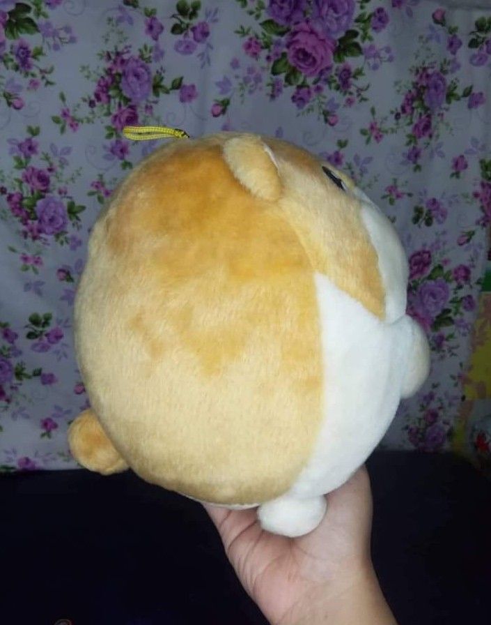 Hamster Bilog Hobbies And Toys Toys And Games On Carousell