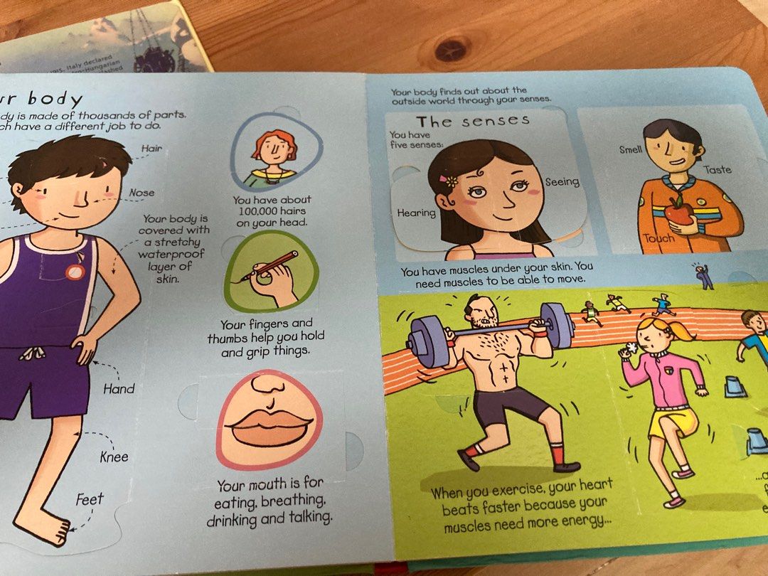 Usborne Look inside Flap Book「生活中的為什麼」揭揭書, 興趣及遊戲, 書本 & 文具, 小說 & 故事書 ...