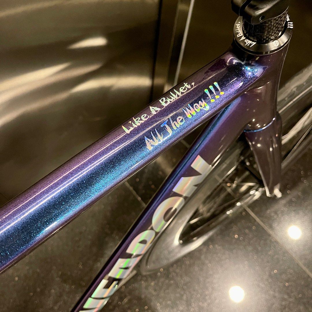 Weapon fixe bike/frame set $790/complete bike $1090/weapon bullet bike ...