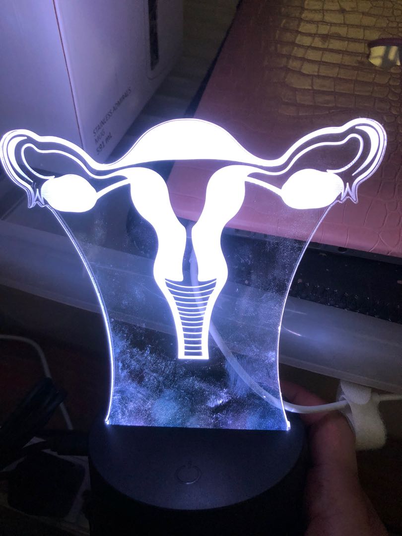 3D Creative visualization lamp uterus design on Carousell