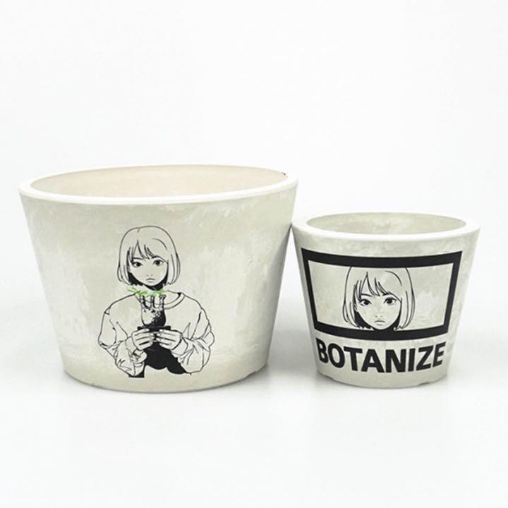 Botanize x Backsideworks 塊根少女 象足漆樹 象牙宮 塊根 SRL Toky, 其他, 其他 - Carousell