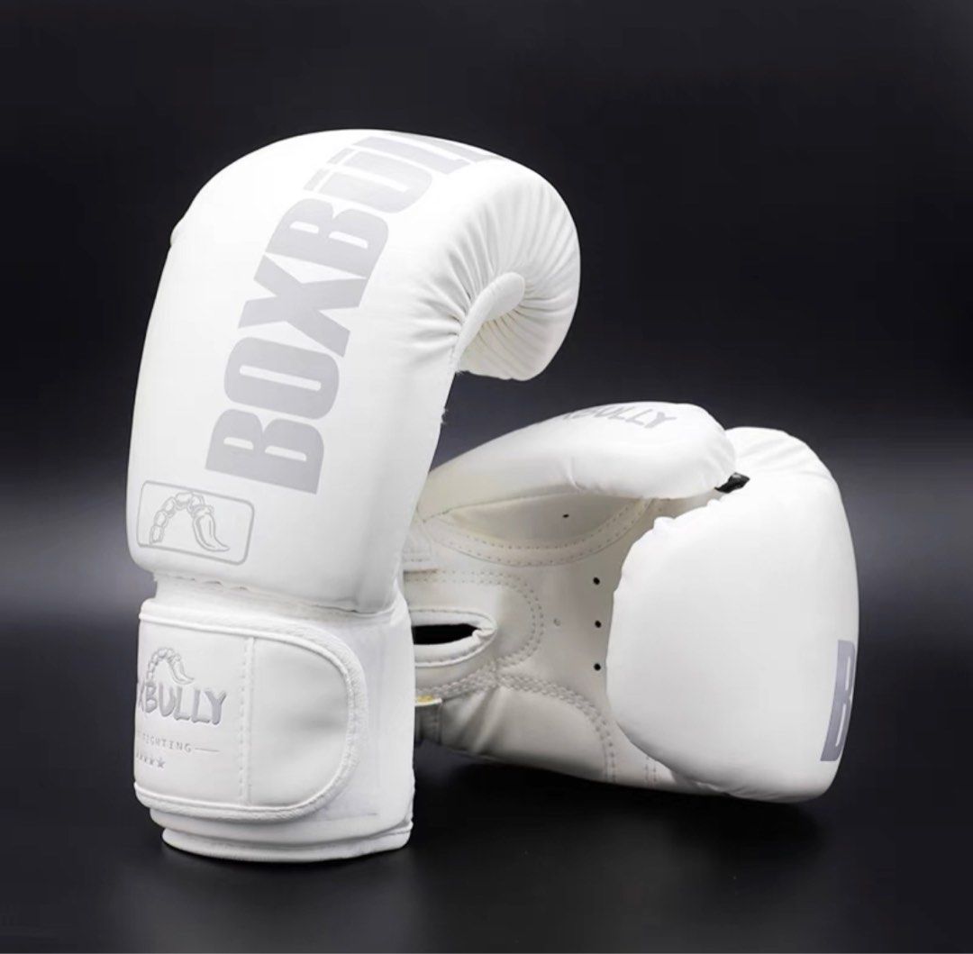 BoxBully Boxing Gloves brand new, Sports Equipment, Other Sports ...