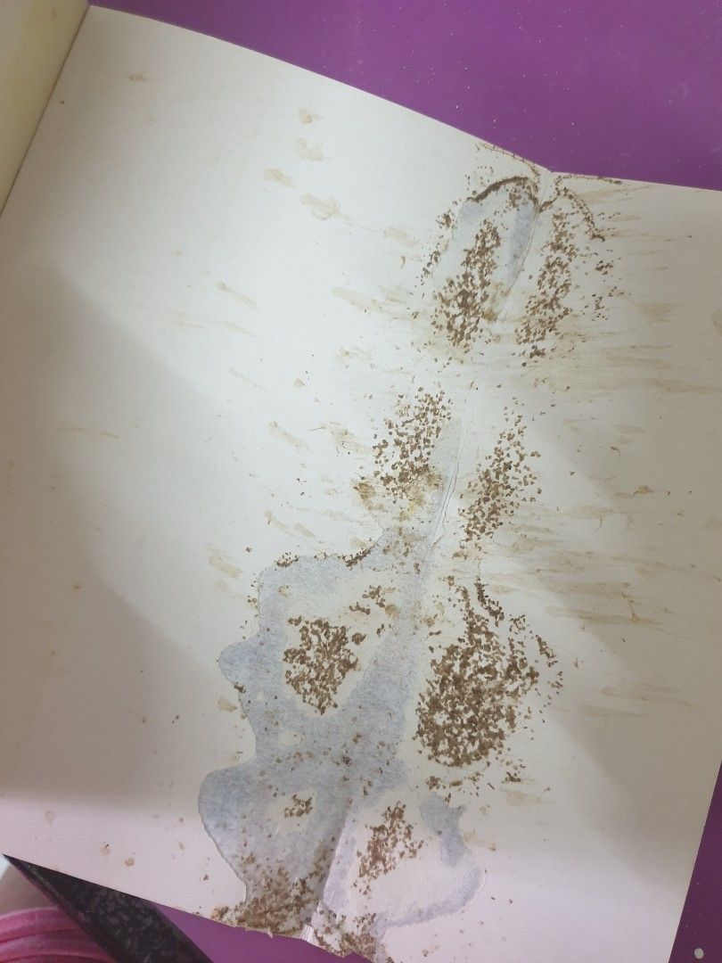 Chasing the Sun by Inksteady Wattpad with Freebies, Hobbies & Toys ...