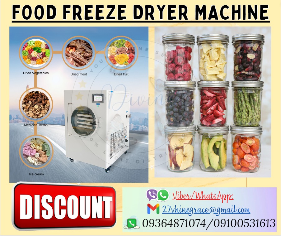 Dehydrator Machine Vacuum Freeze Dryer Freeze Dried Fruit Freeze Dryer ...