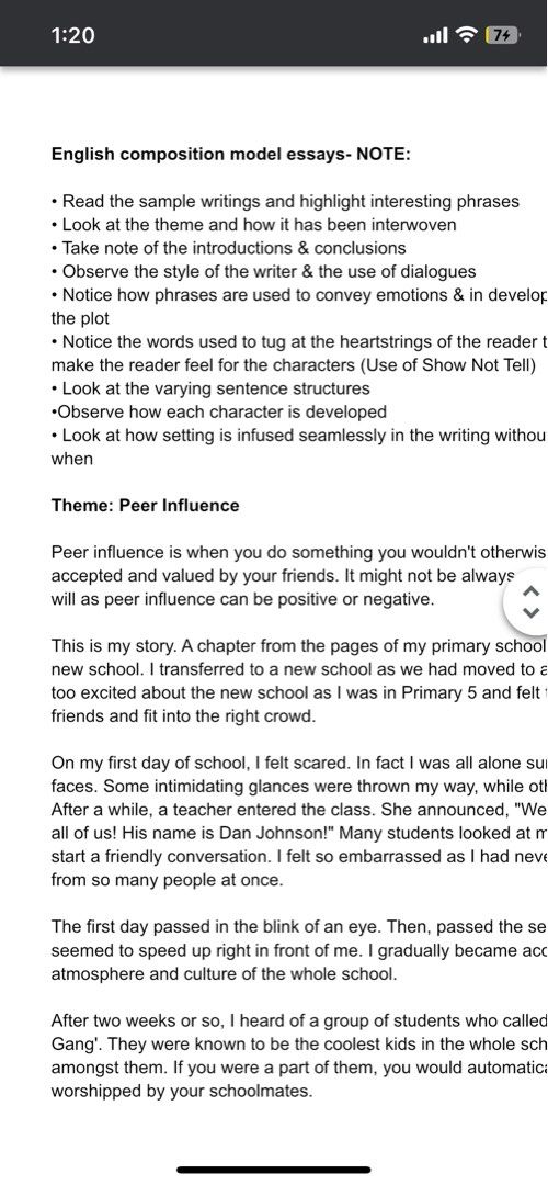 Primary school English 60 page Composition & Situational writing notes ...