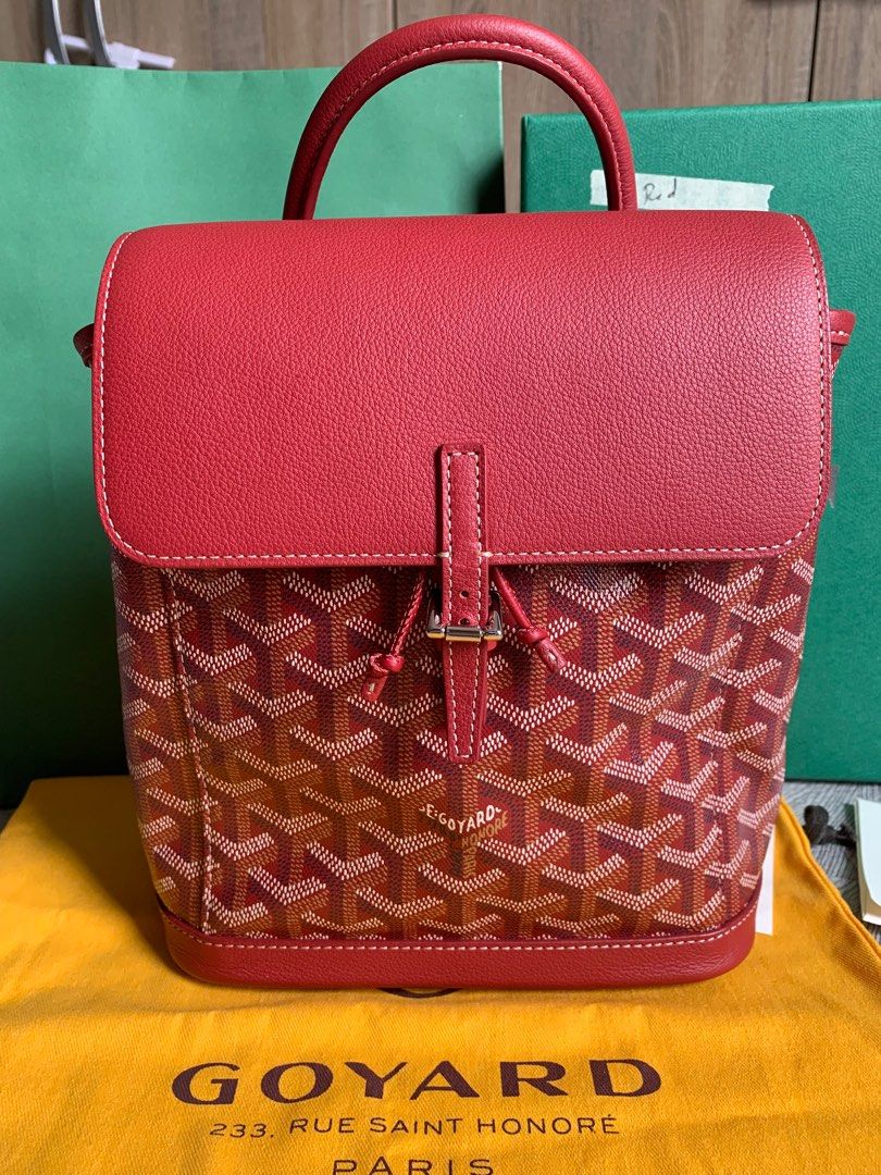 Rare! Goyard Mini Alpin on Carousell