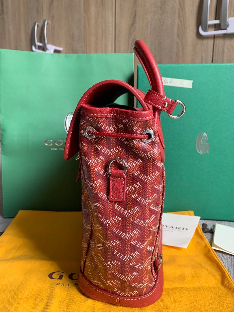 Rare! Goyard Mini Alpin on Carousell