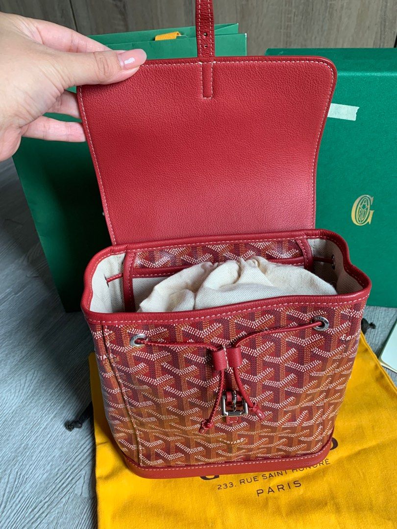 Rare! Goyard Mini Alpin on Carousell