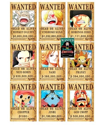 REJECT FAULTY LESS 1 PIECE One Piece Wanted Poster 19.5x28.5cm Luffy 3 ...