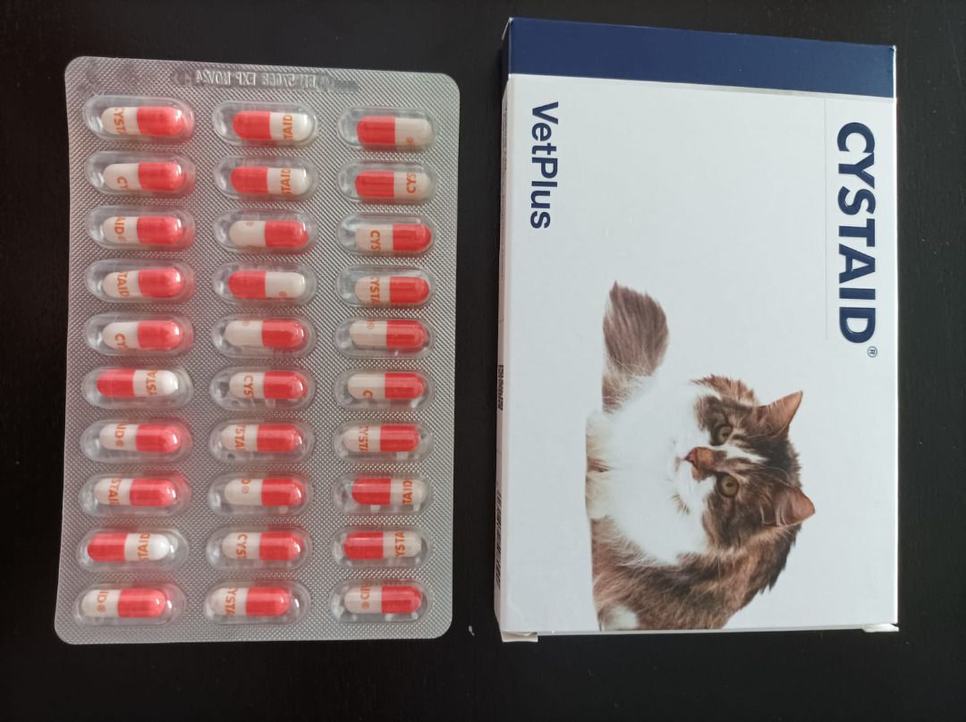 Cystaid for Cats, Pet Supplies, Health & Grooming on Carousell