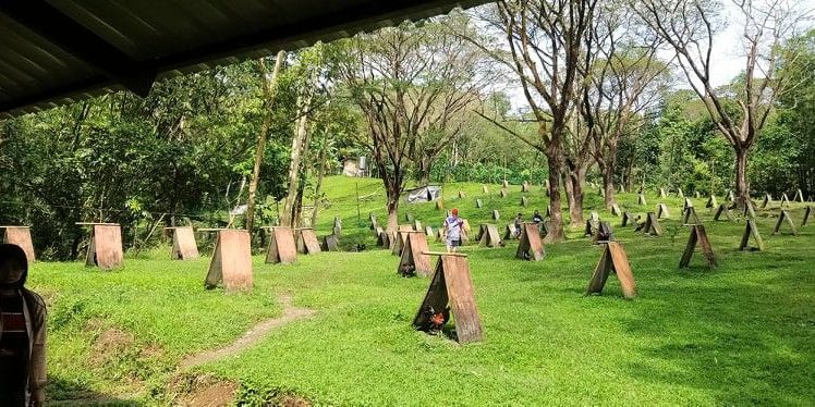 Farm Lot /Game Farm - Direct Owner on Carousell